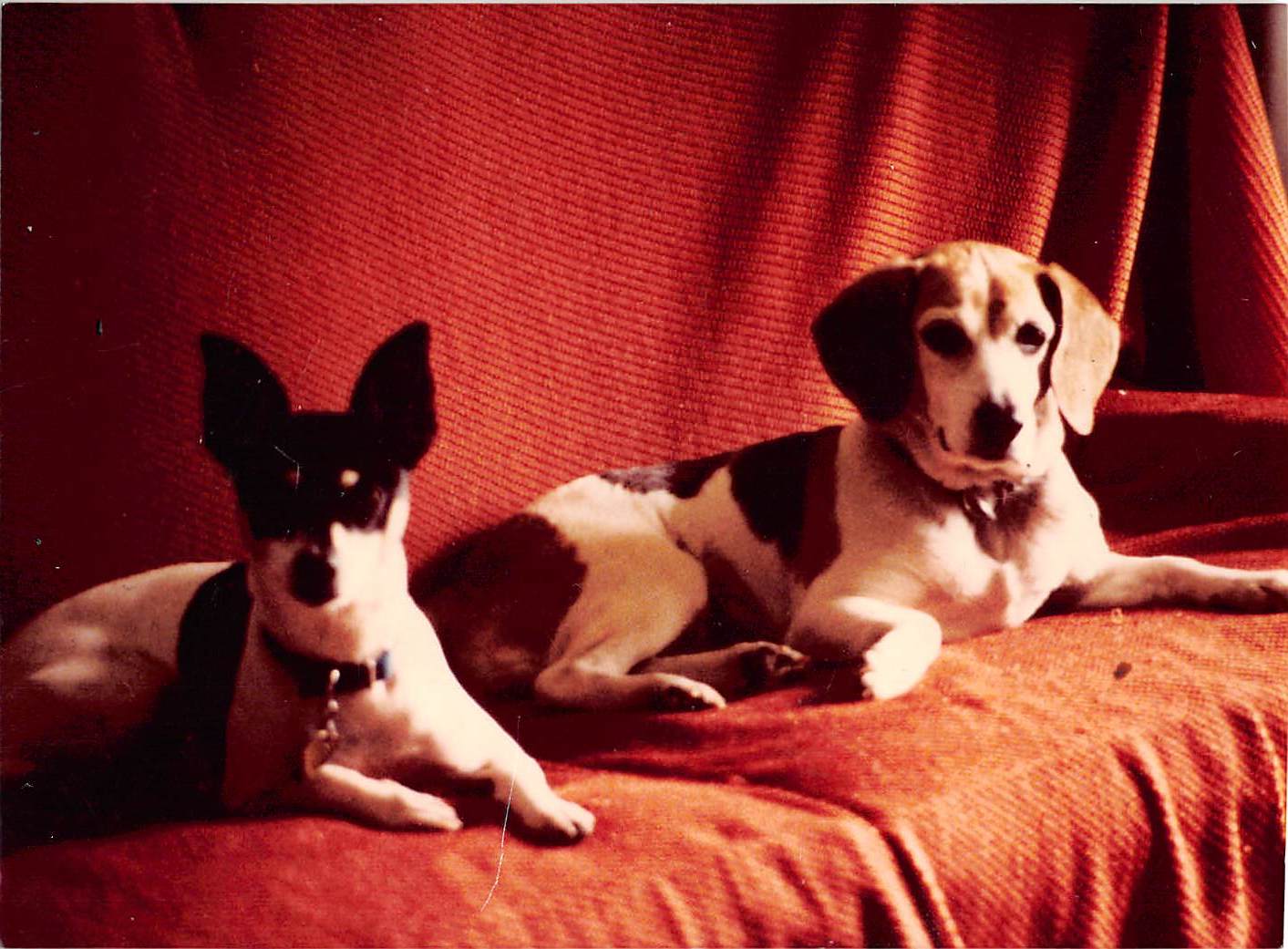 Remembering the McCulloch Family - First Presbyterian Church of DuPage